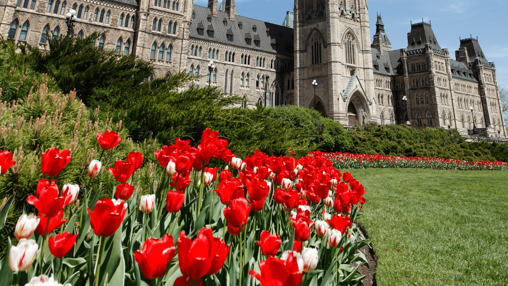 Spring Economic Statement: PFC welcomes announcements about Modernising ...